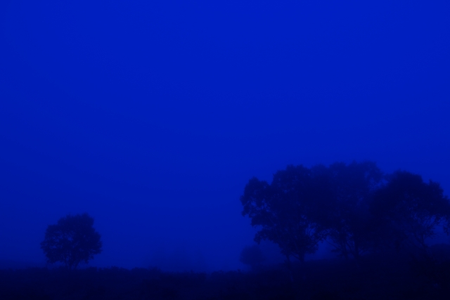 1803280_s - ウントキーネ